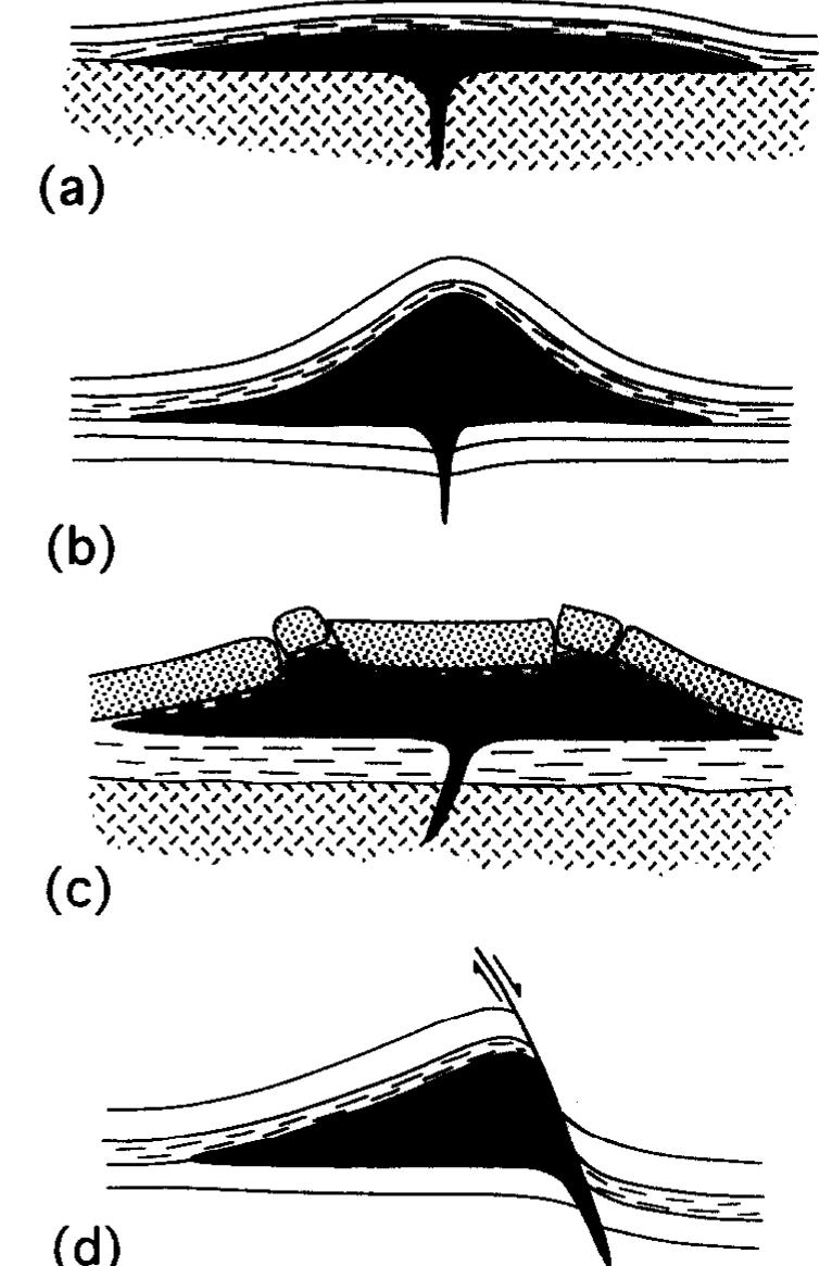 Diagrammatic cross-sections illustrating some common shapes