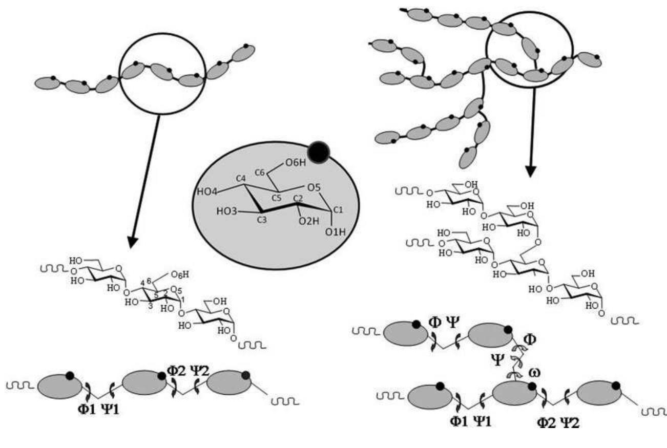 (PDF) The molecular structures of starch components and their ...
