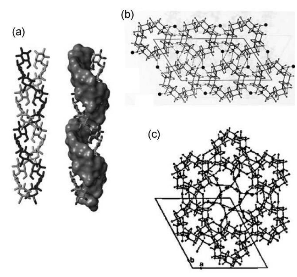 3d structures of a-type and b-type crystalline polymorphs.