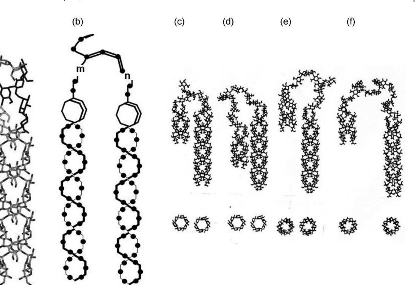 (PDF) The molecular structures of starch components and their ...