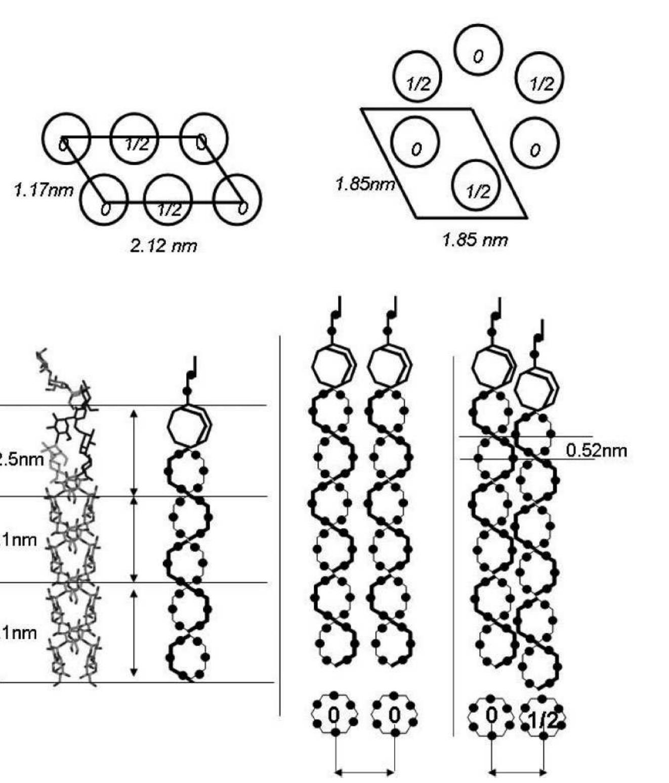 (PDF) The molecular structures of starch components and their ...