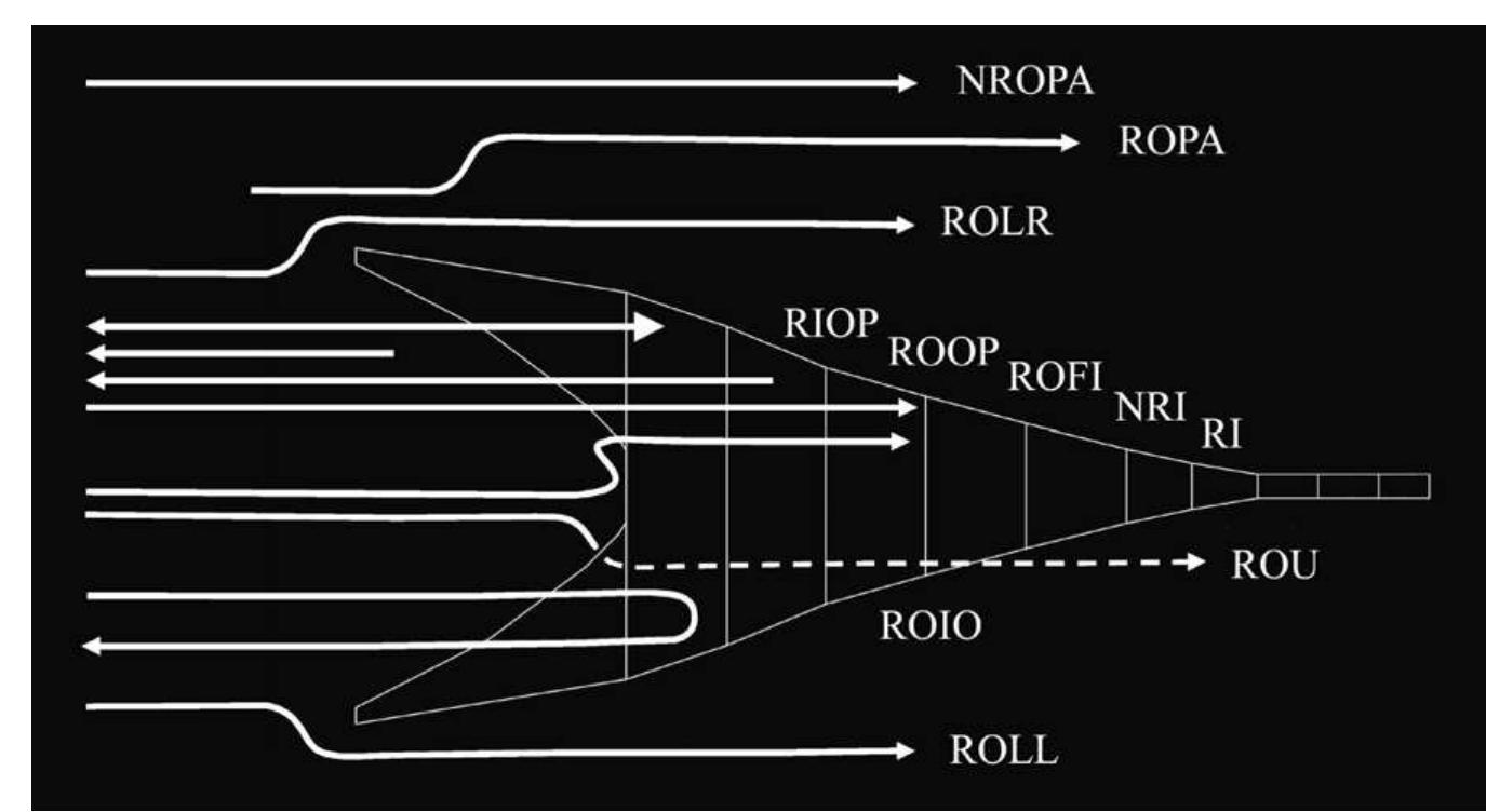 Eleven types of avoidance behaviour of fish towards the