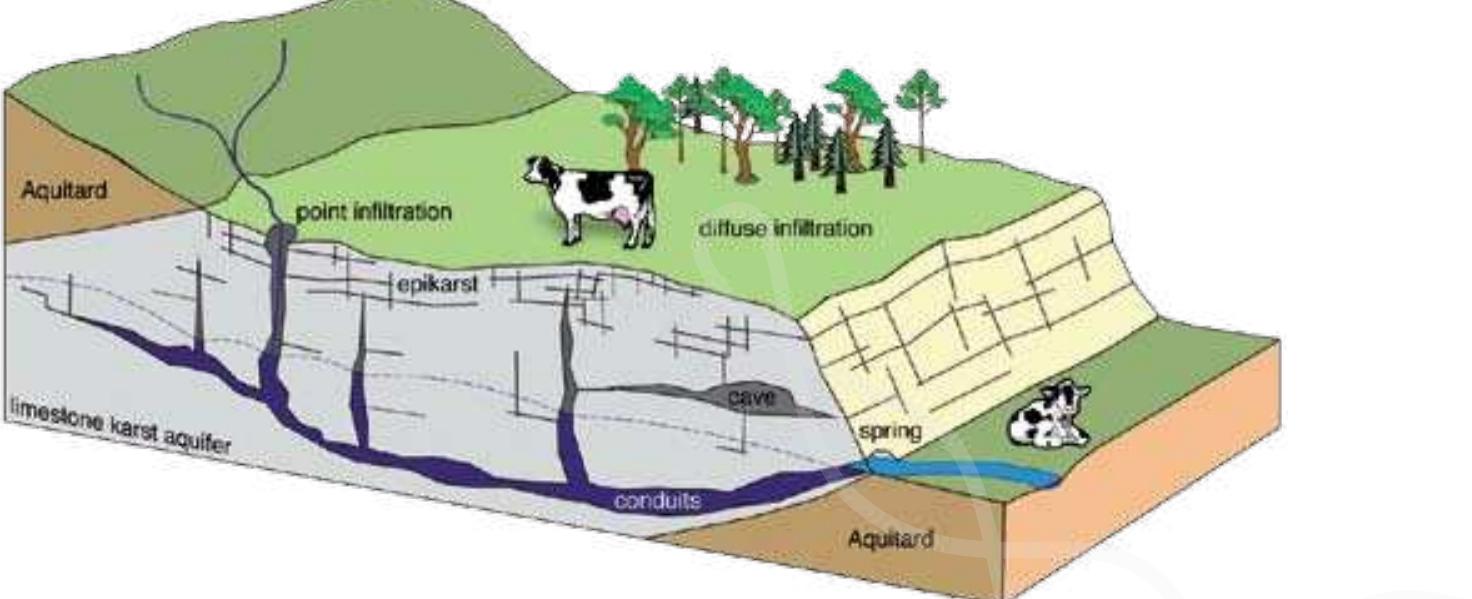 4: schematic illustration of a heterogeneous karst aquifer