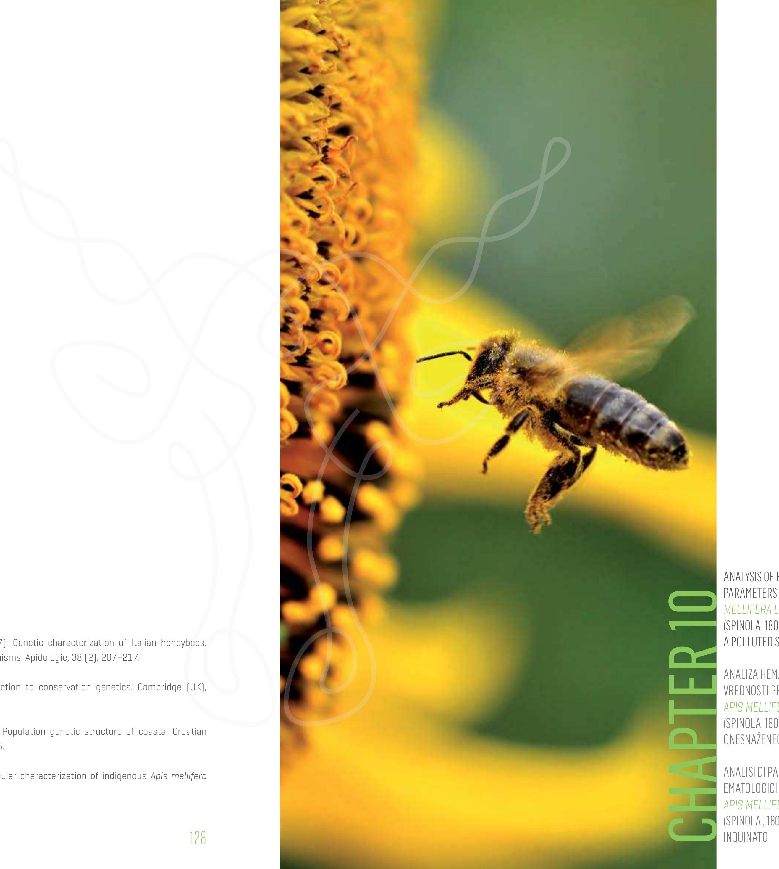 Figure 47 - Biodiversity and Conservation of karst