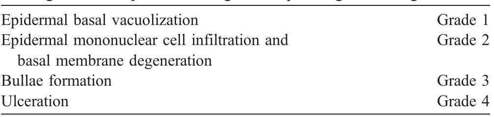Grading of skin biopsies according to histopathological