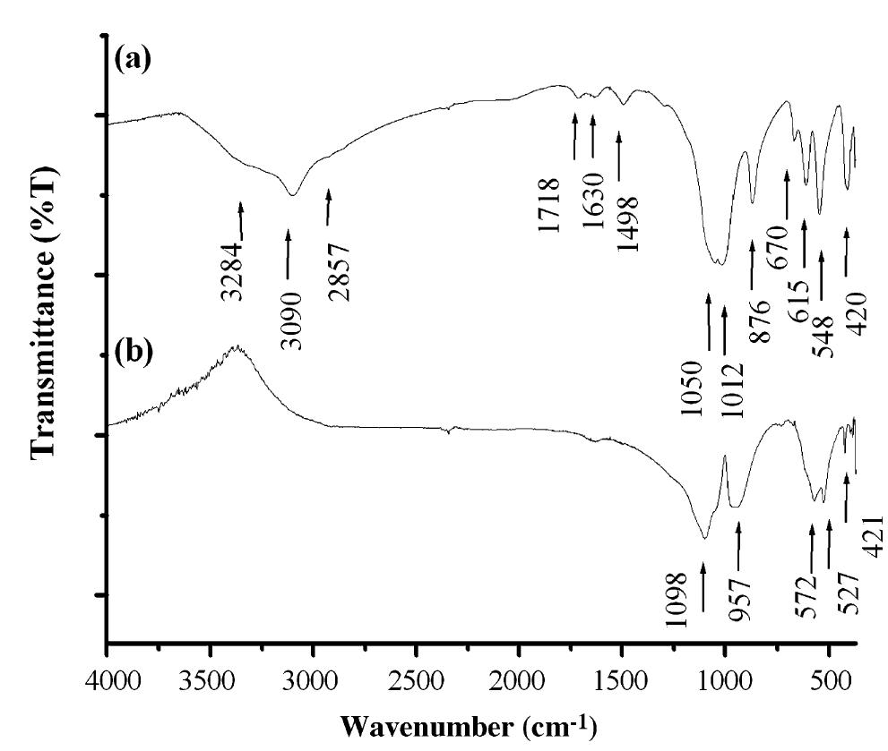Ftir spectra of serrabrancaite mnpo4-h20 (a) and dehydration
