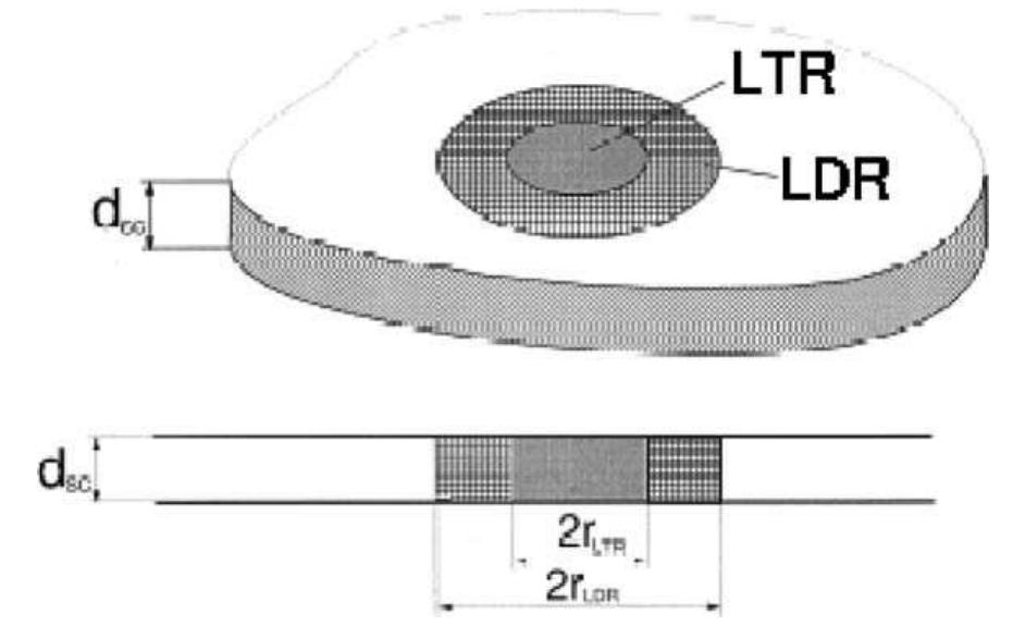 Idealized drawing of the outer layers of the skin, showing