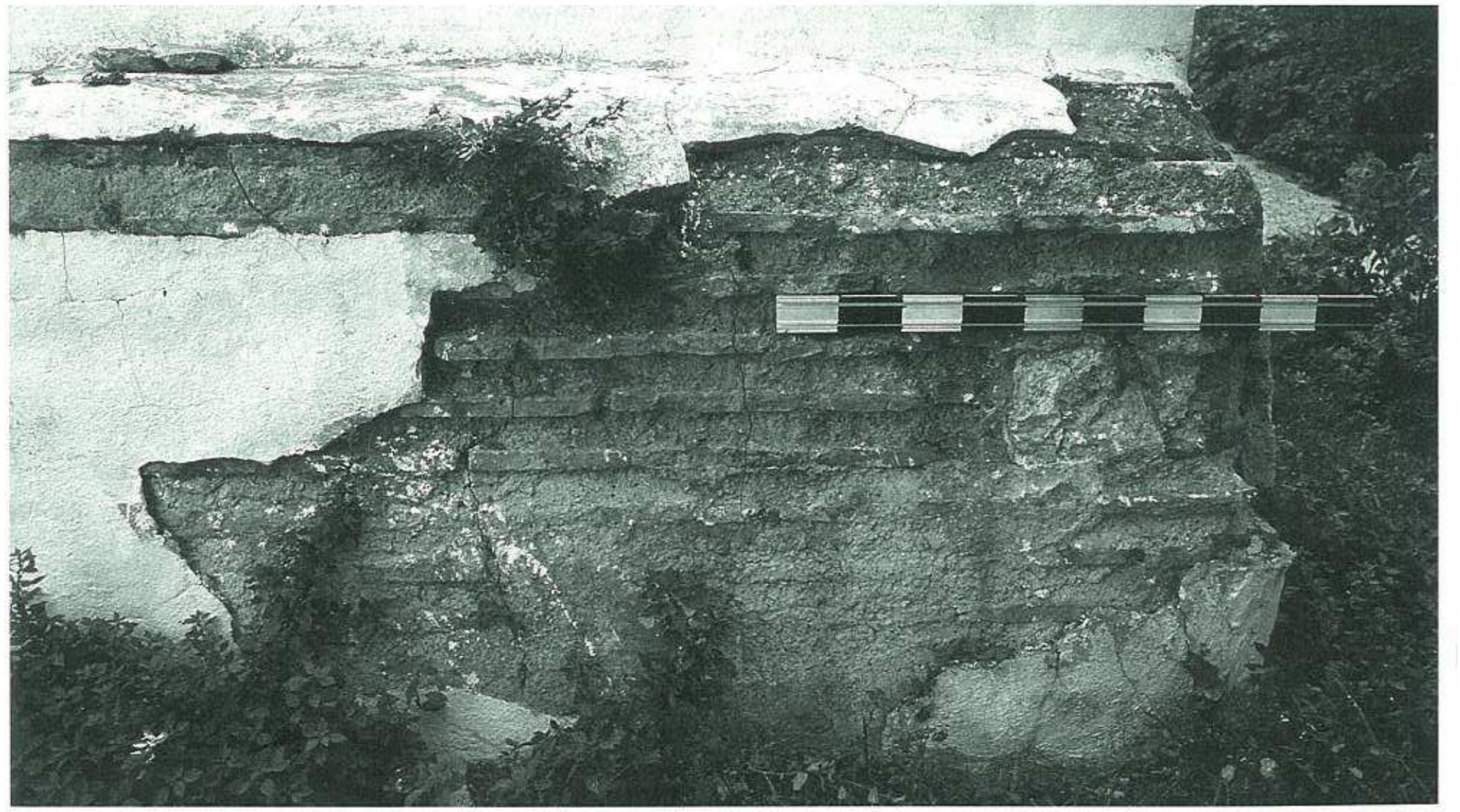 An example of structural evidence where the surface of the