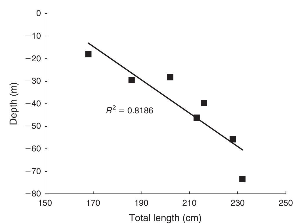 Linear regression of average depth during migration versus