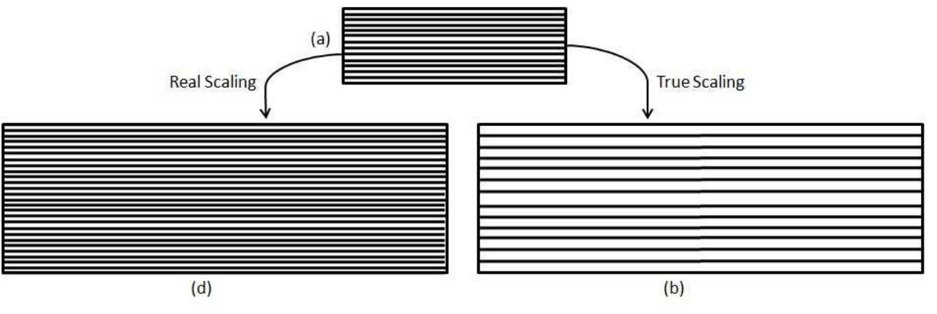 Schematic diagram of true scaling of layers in a lamina.
