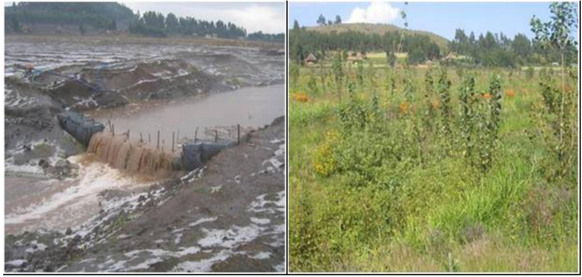 Plate 7. a gabion check-dam filled with soil (top and bottom