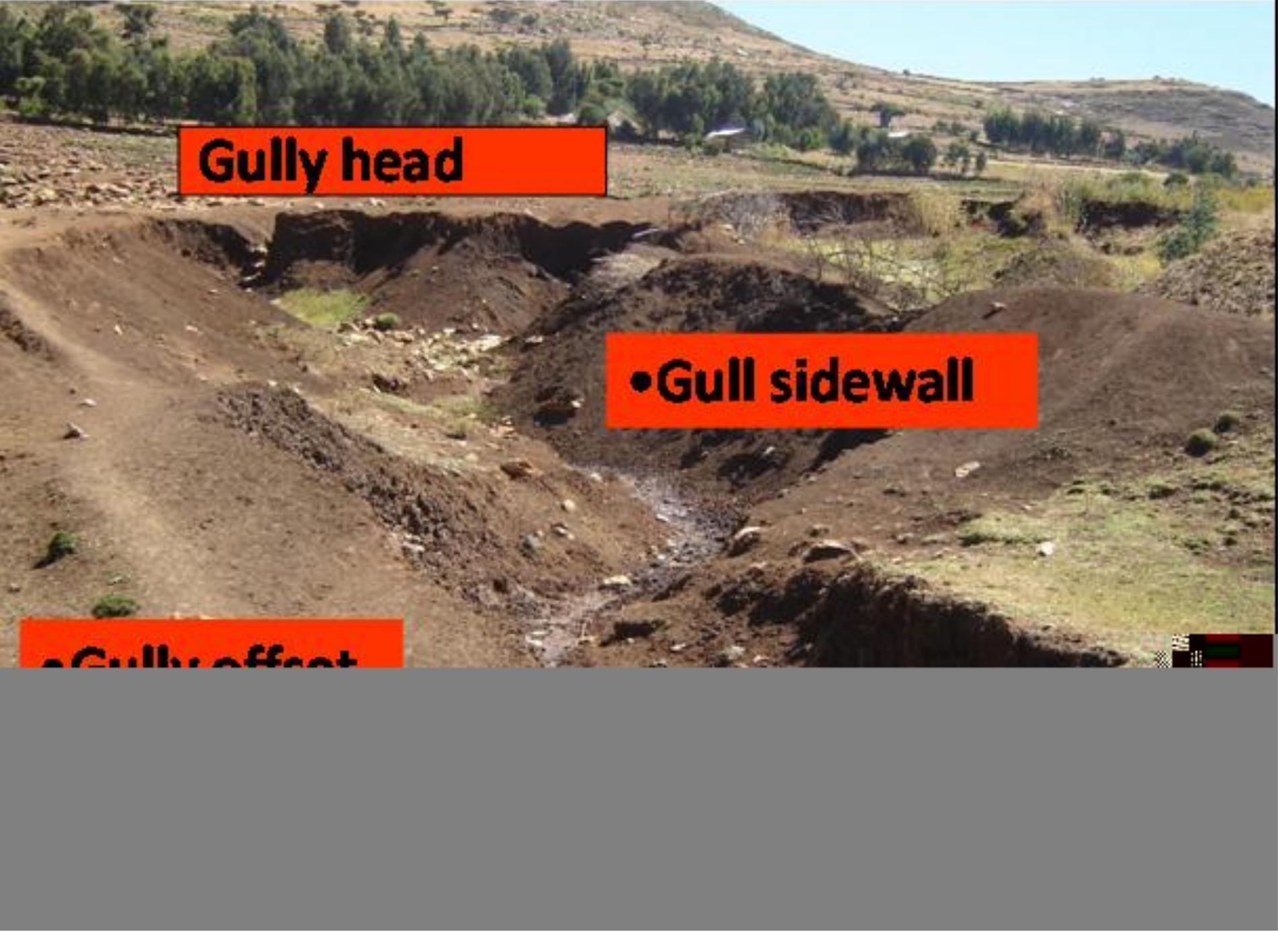 Plate 9. a typical gully showing its specific locations