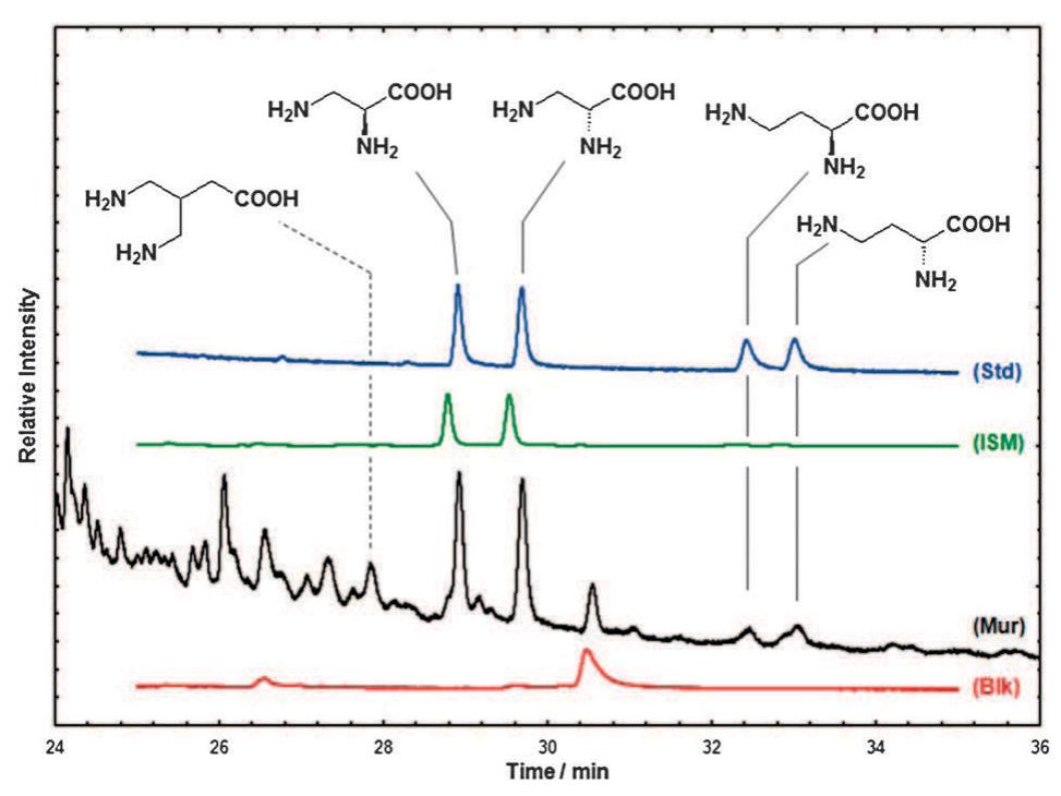 Diamino acids identified after hot-water extraction,