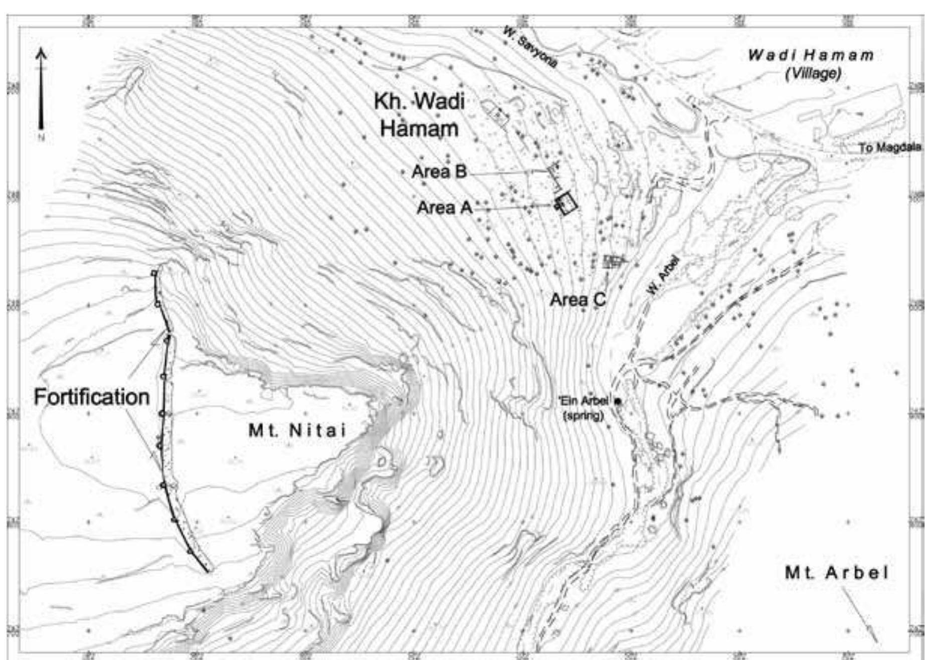 Figure 2 - from Uzi Leibner, “Excavations at Khirbet Wadi