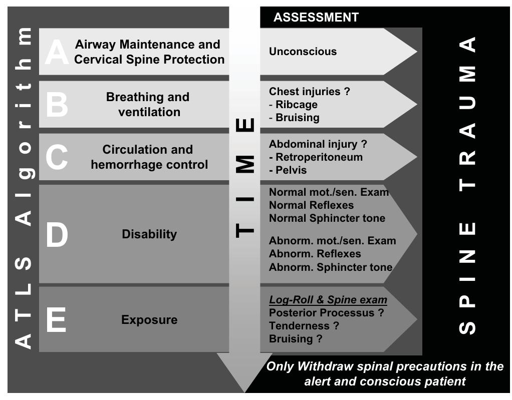 | atls® algorithm and spine trauma assessment. in step ,,a"