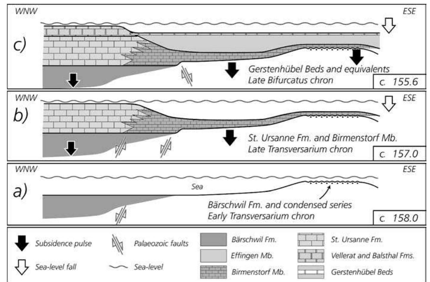 38. schematic representation showing how differential 38. schematic representation showing how differential