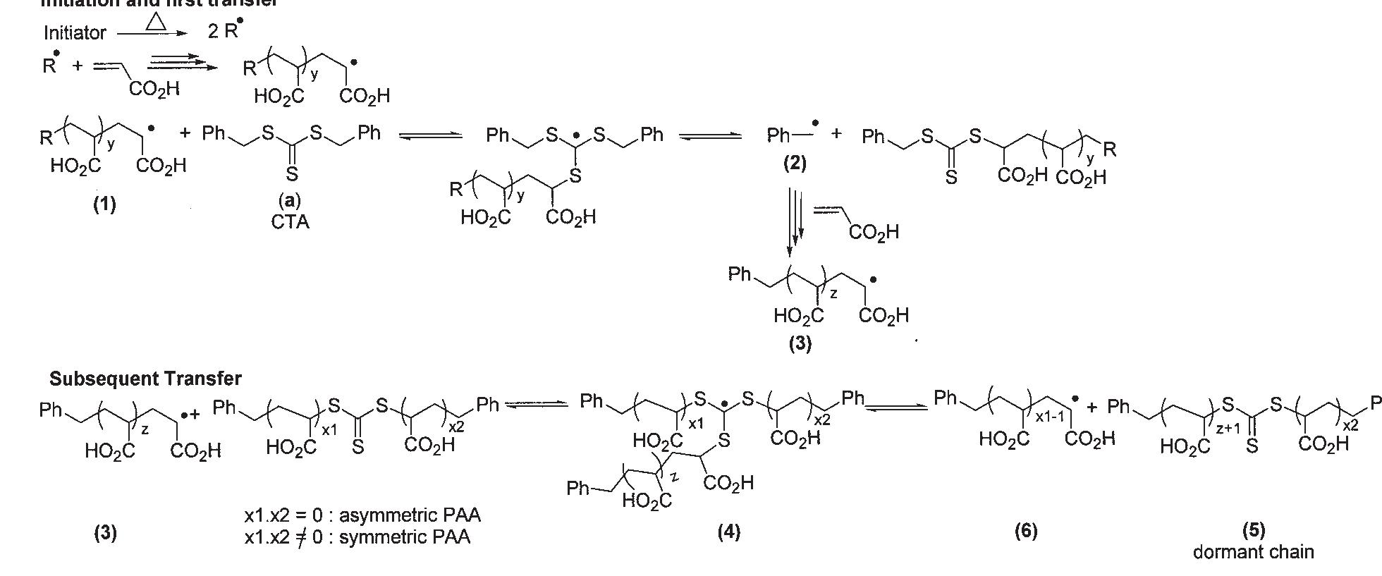 Mechanism of the raft of aa using a trithiocarbonate as a