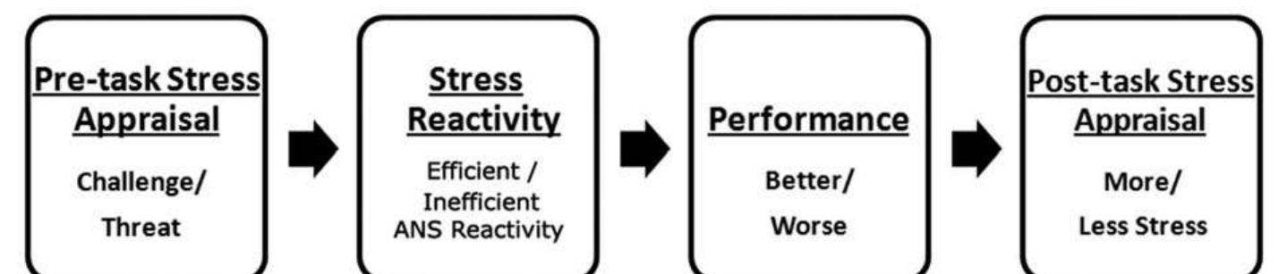 Figure 1 - The biopsychosocial model of stress in