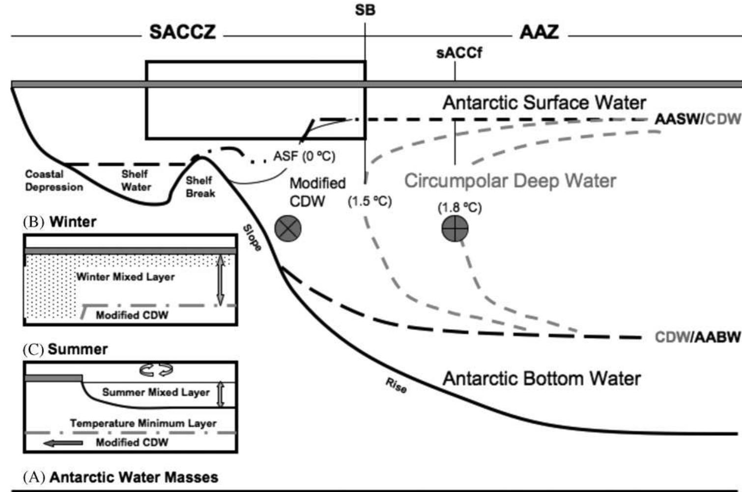 Meridional schematic of east antarctic water masses after