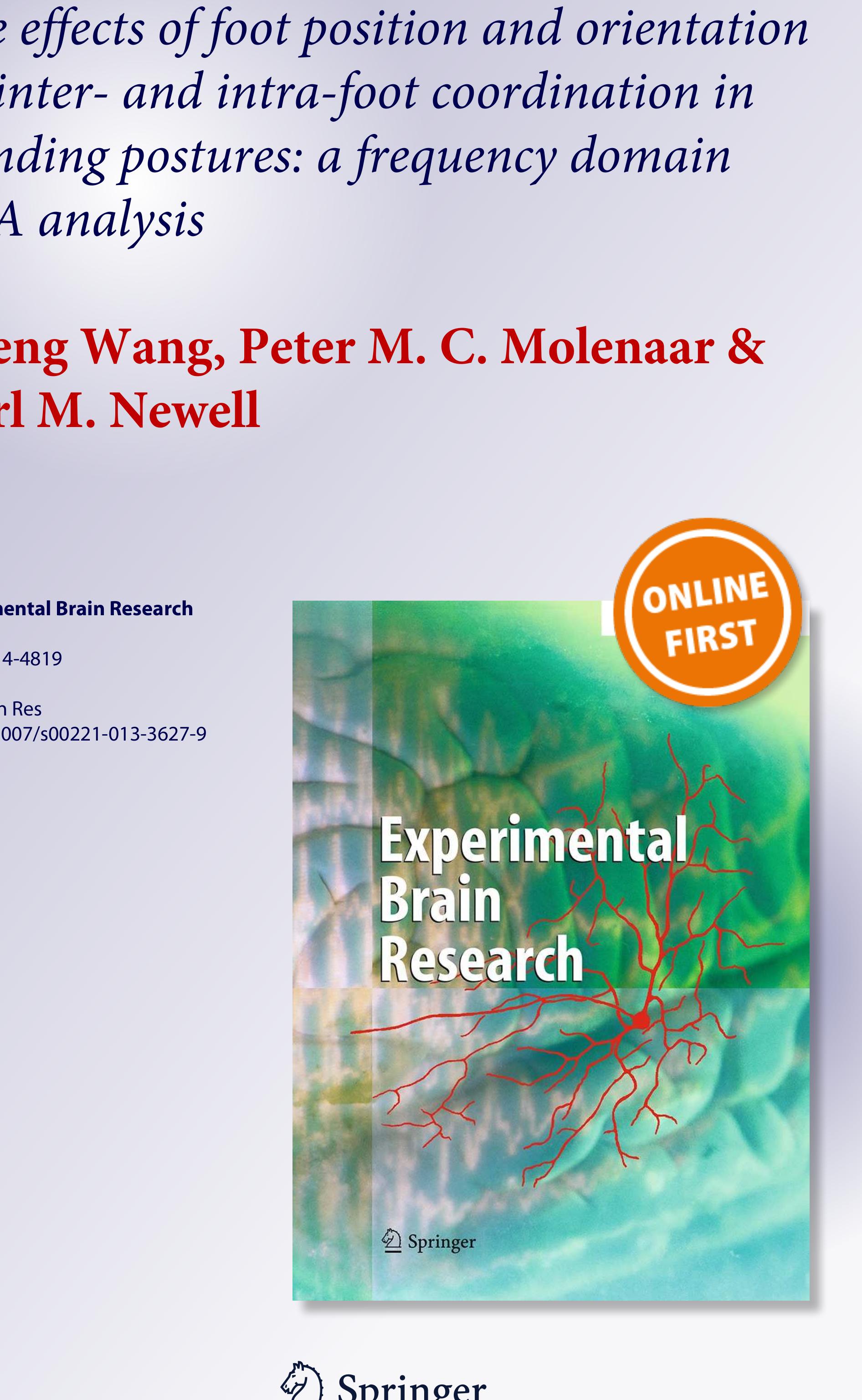 Figure 1 - The effects of foot position and orientation on