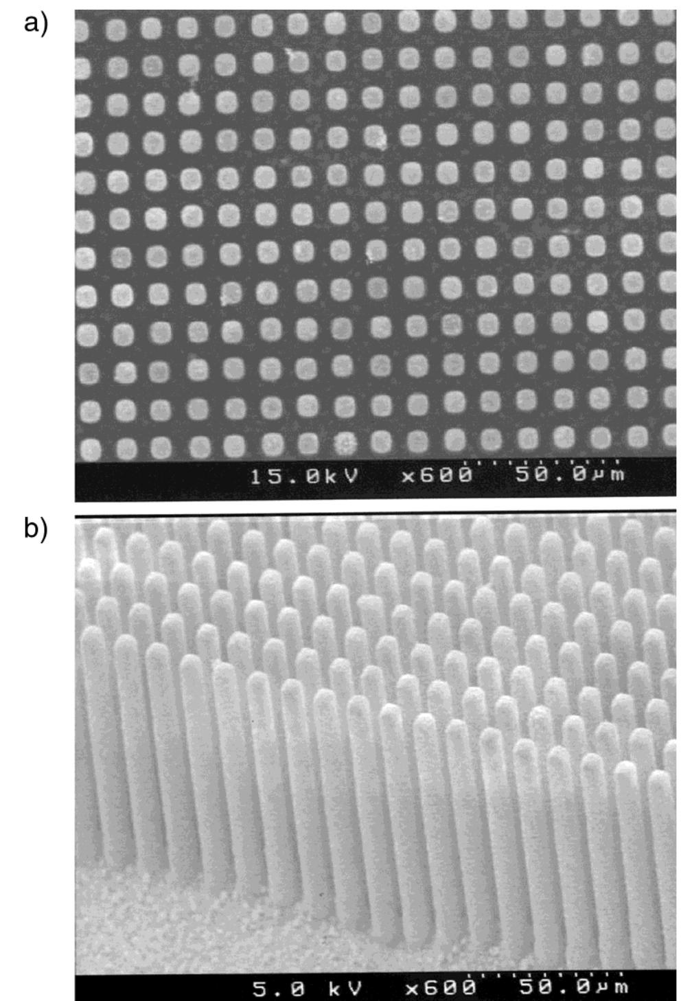 Sem images of pzt microrod array: a) top view, b) side view.