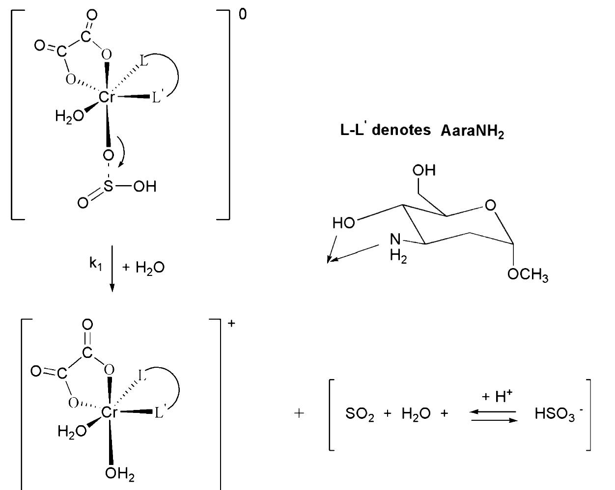 Suggested mechanism for the hydrolysis of the complex