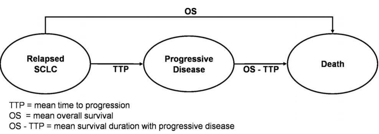 Schematic of the survival model adopted for the cost