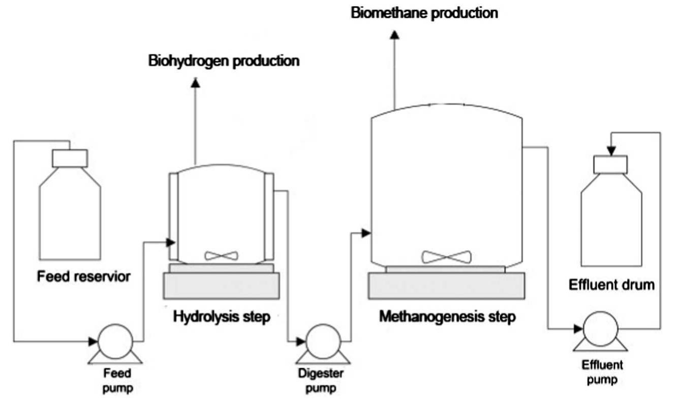 A simplified scheme of two-stage ad [83]. source: adapted