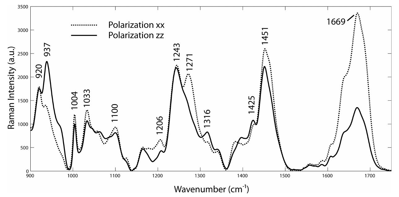 Fic. 3. raman spectra of sheep tendon as a function of