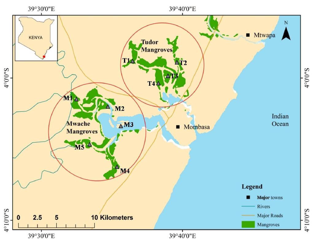 Map of the study area showing the mombasa mangroves (mwache