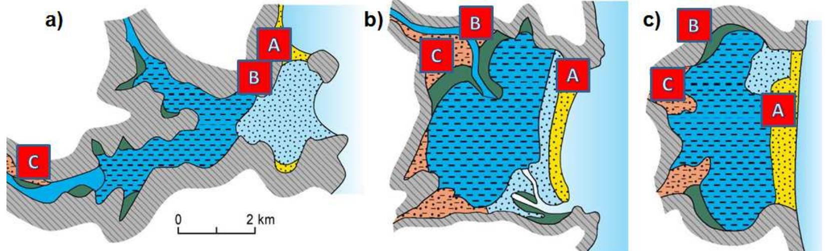 Schematic example of the principal types of estuary in