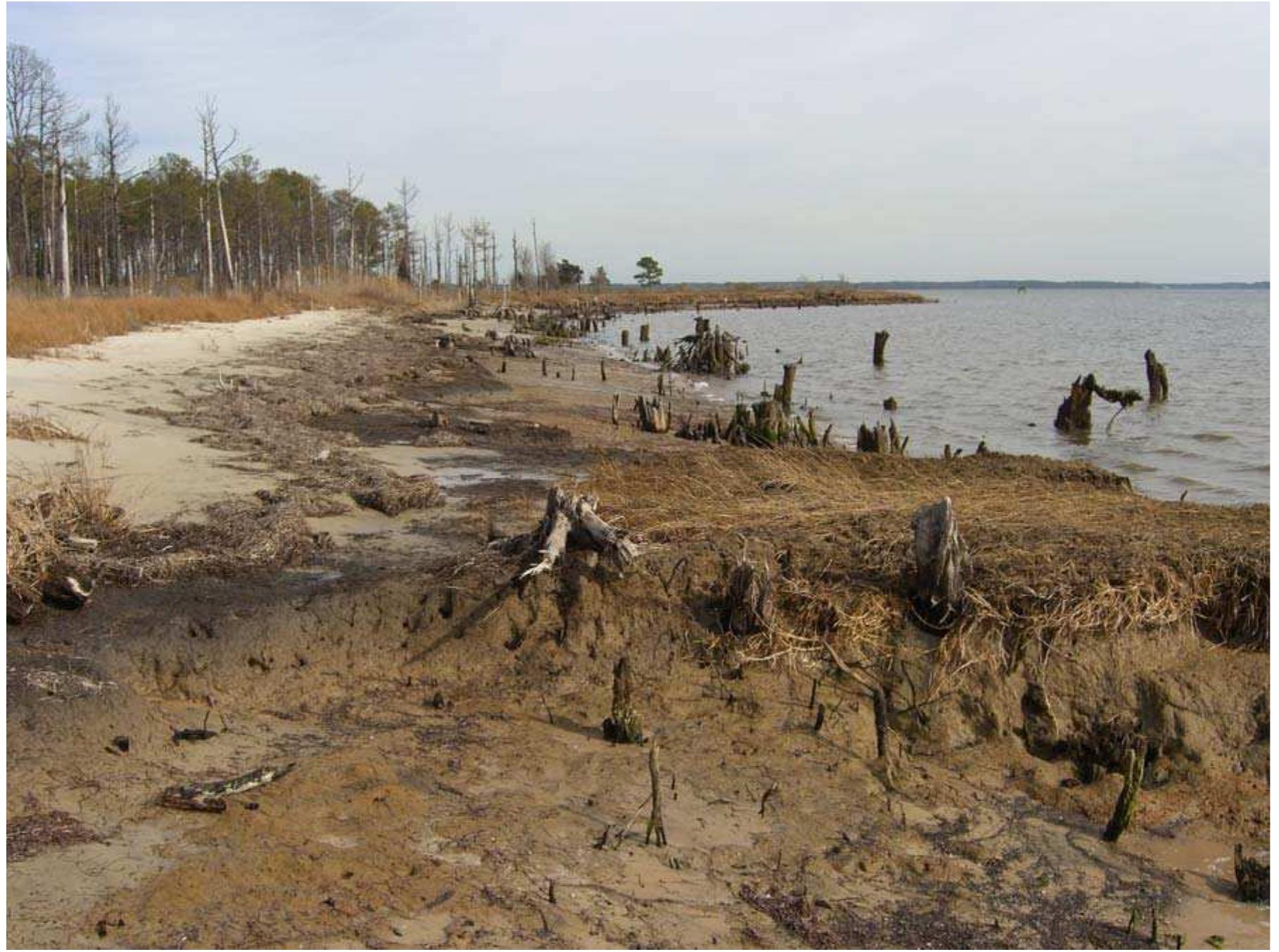 The site consis soil map classifies mail soil deposit. the