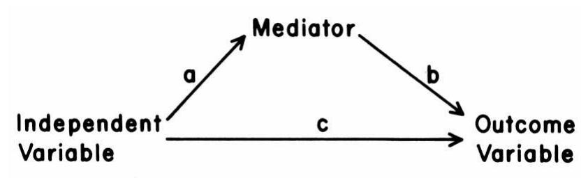 (PDF) The Moderator-Mediator Variable Distinction in Social ...