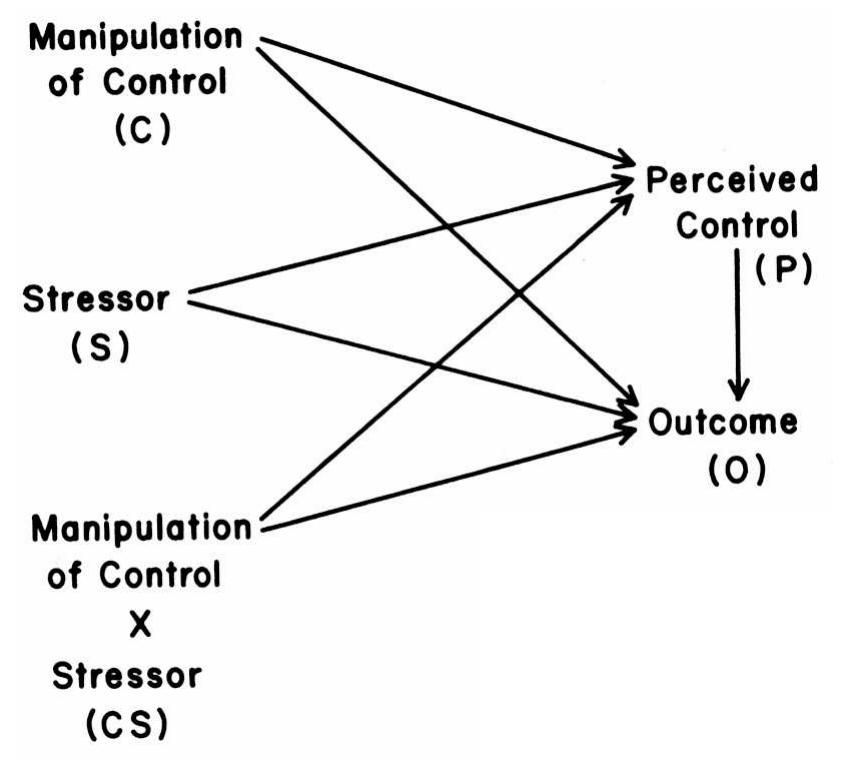 (PDF) The Moderator-Mediator Variable Distinction in Social ...