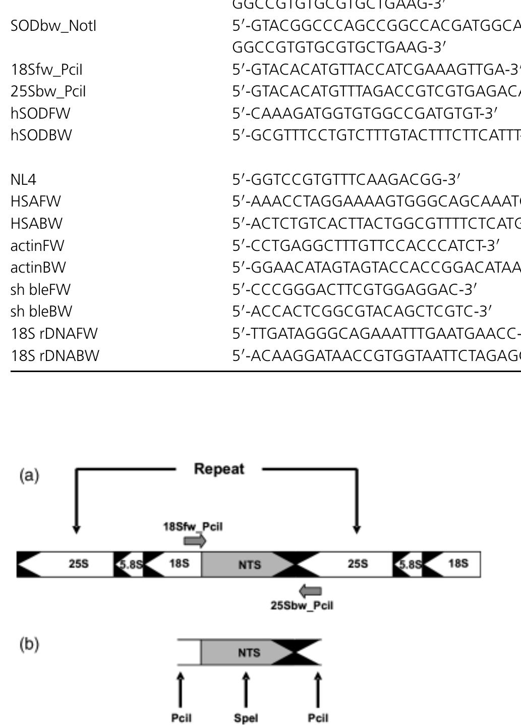 Schematic representation of the native rdna locus. (a) the