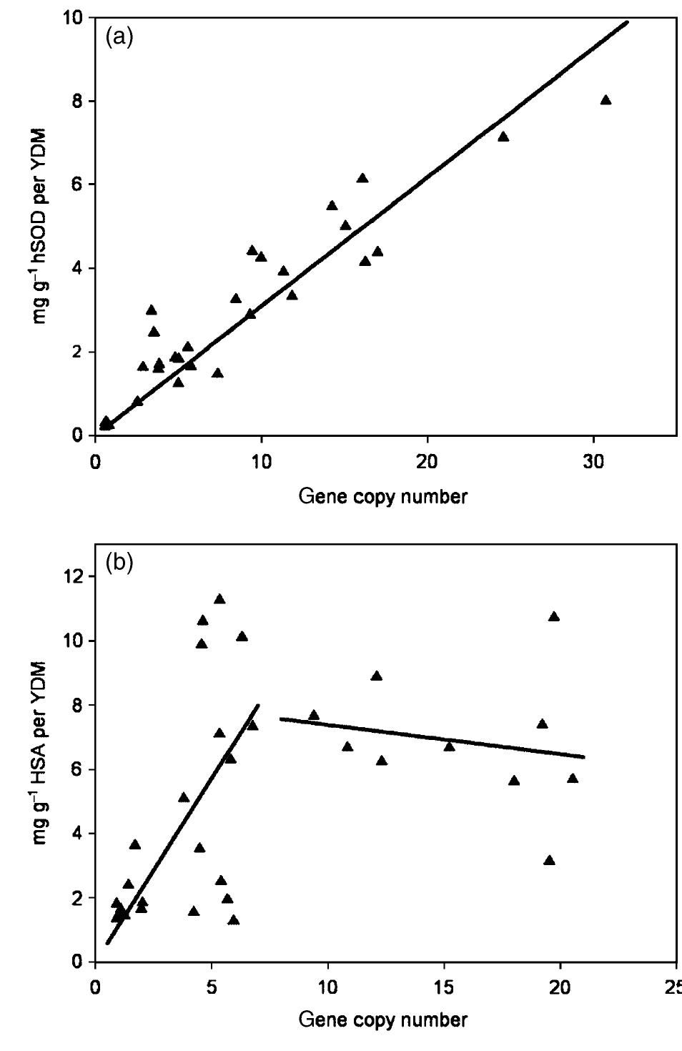 Correlation of gene copy number with productivity of hetero-