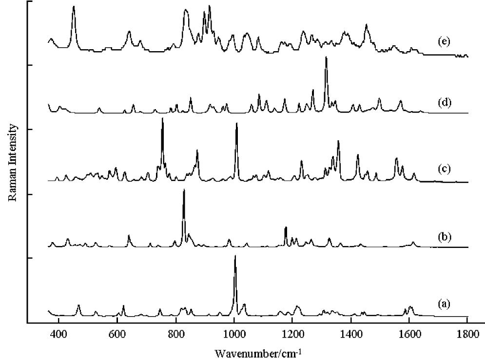 Raman spectra of amino acids with a cyclic r side chain: (a)