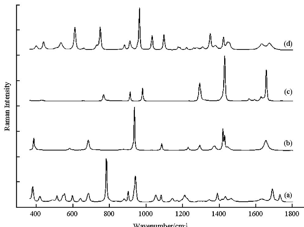 Raman spectra of components of the citric acid cycle: (a)
