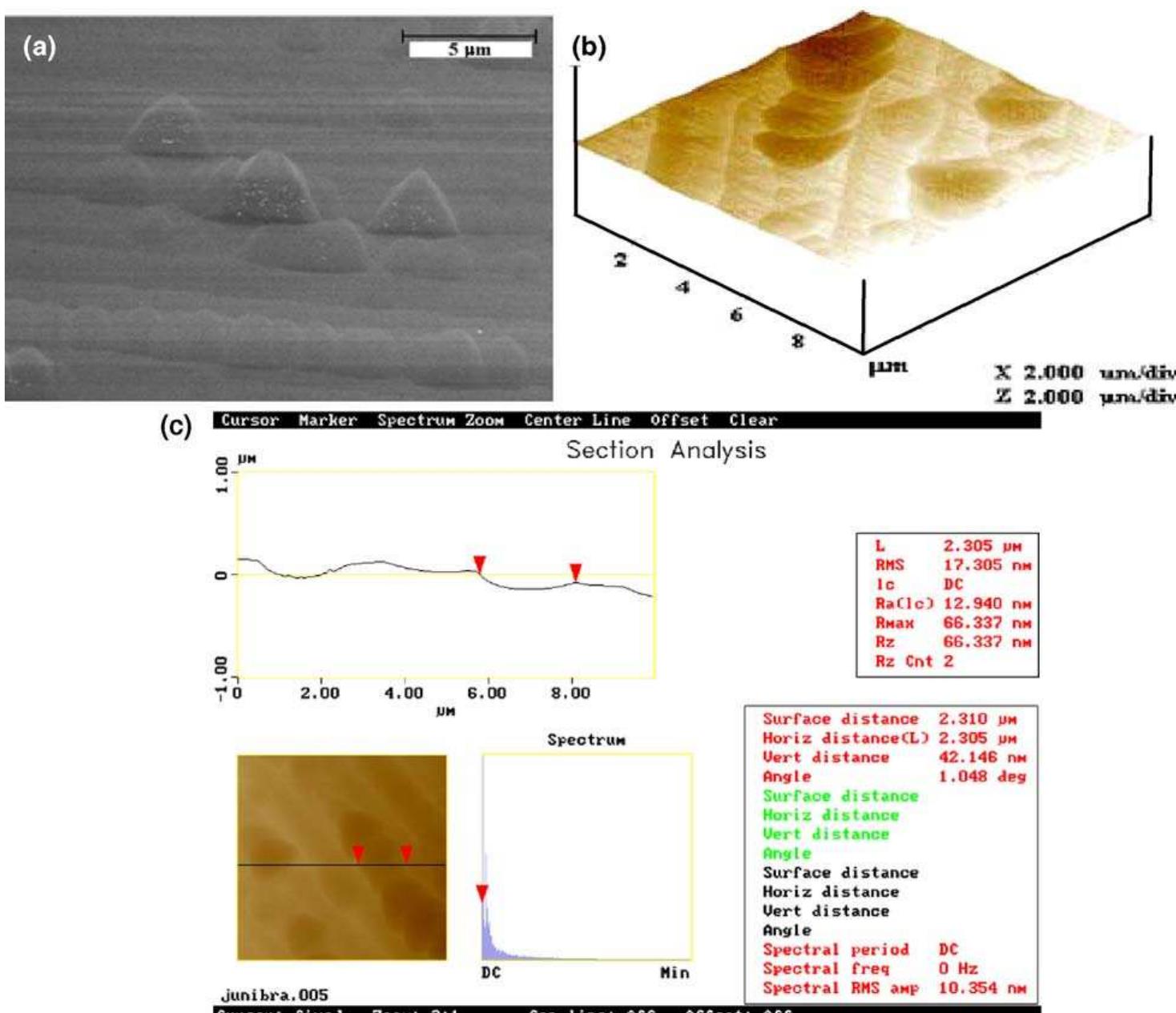 Wafer d: (a) sem micrograph; (b) afm micrograph image; (c)