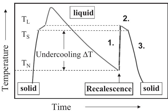 Schematics of a temperature-time-profile as measured during