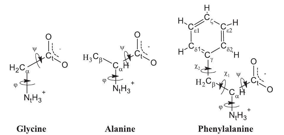 Nomenclature and main conformational angles of the