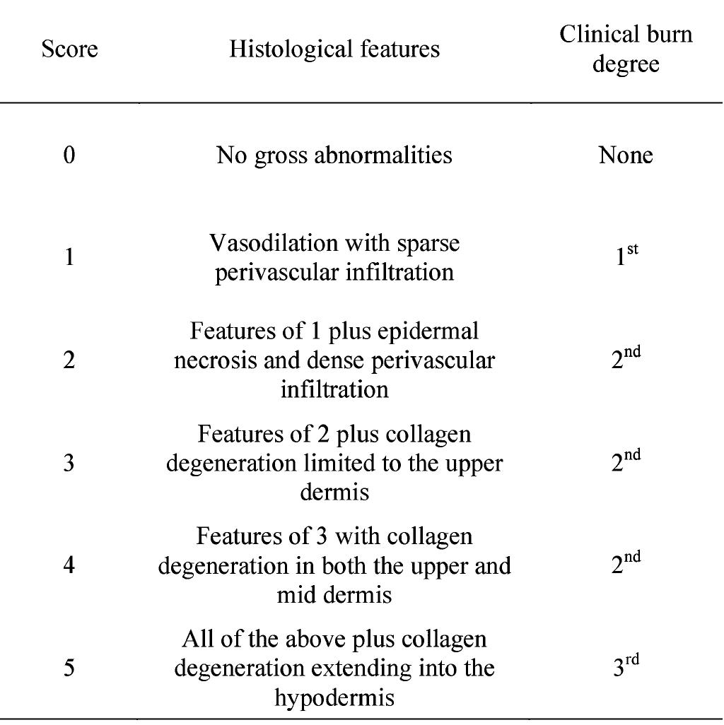 Summary of histological scoring system used to grade skin