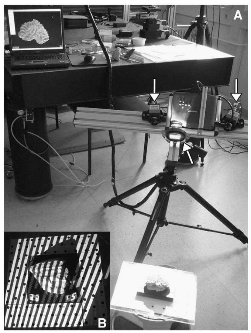 Setup of optical 3d-profilometry measurement. (a) two