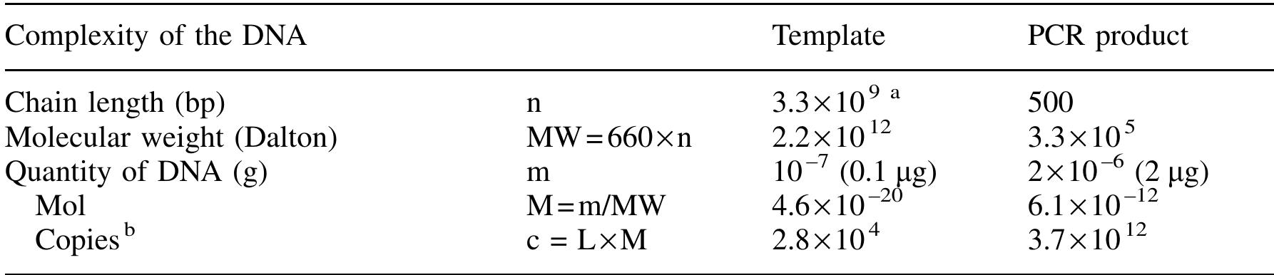 Template and product molecules in a typical pcr batch