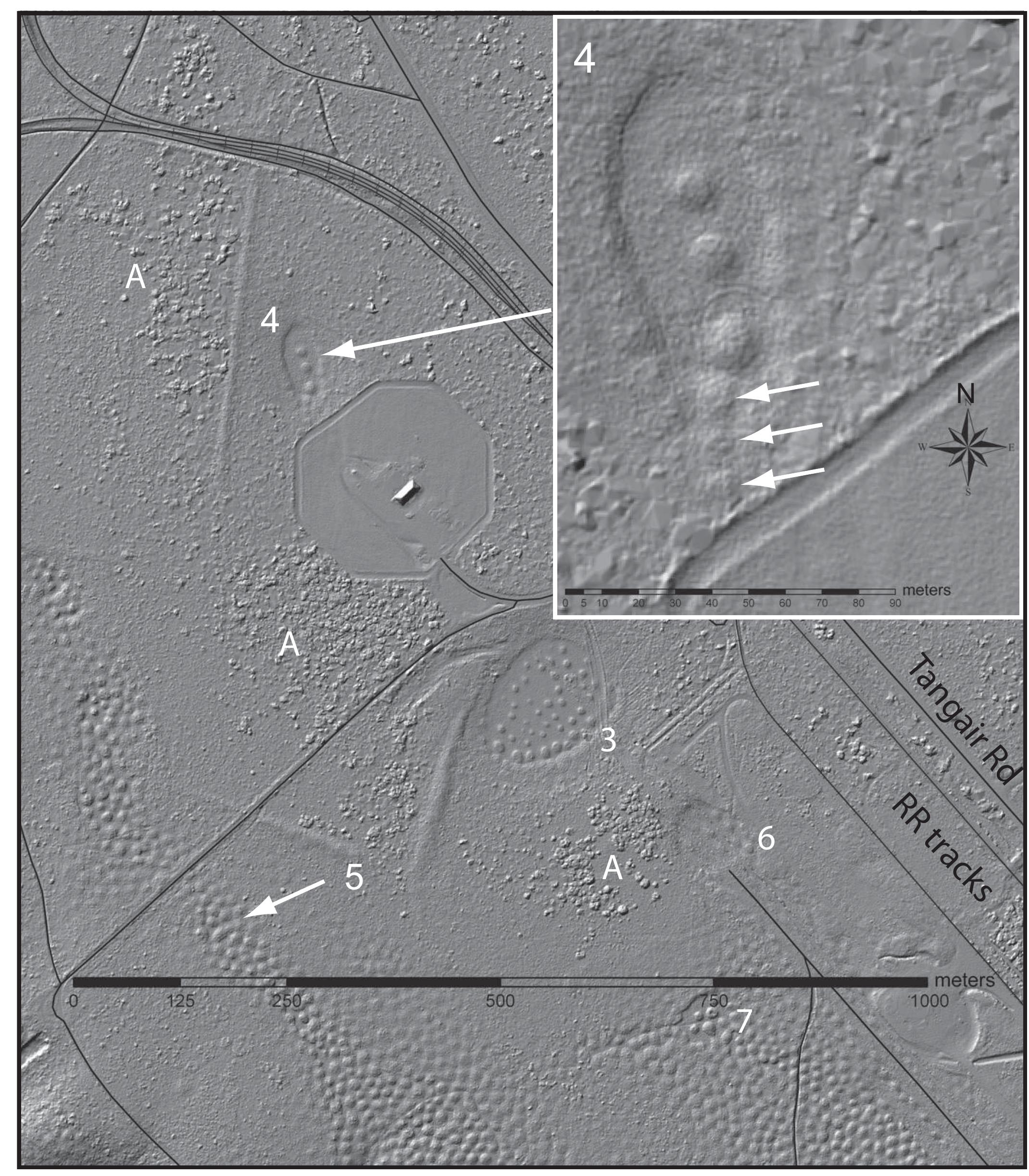 Lidar imagery reveals a multitude of mima-type mounds in