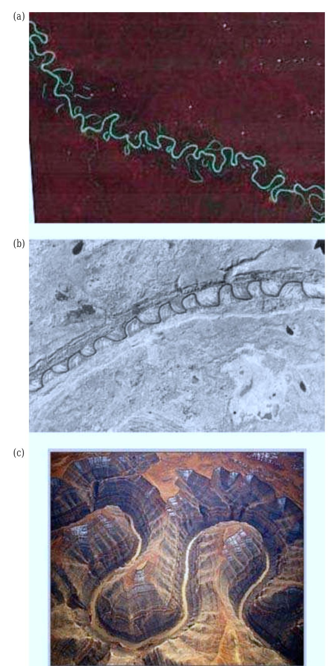 Examples of fluvial meandering patterns. (a) meanders