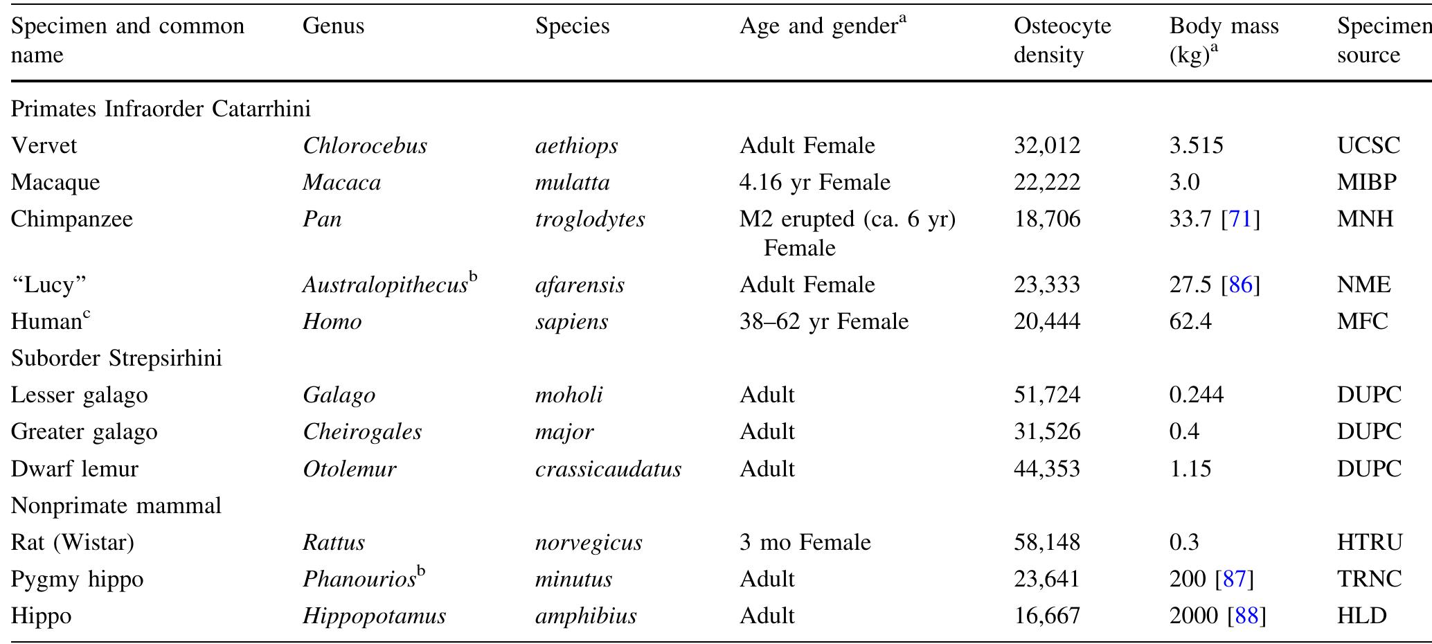 Selected primate and nonprimate mammal osteocyte density and