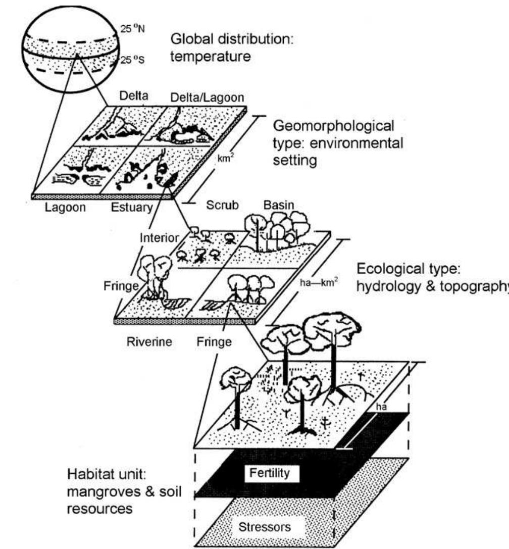 Hierarchical classification system (ecogeomorphology) for