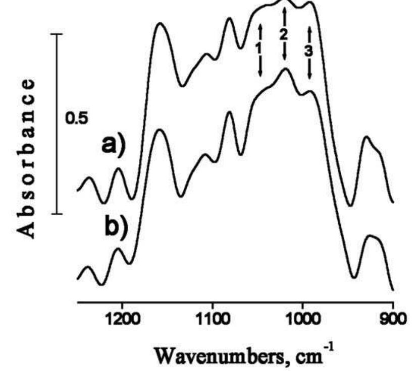 Deconvoluted ftir spectra of pullulan sample before (a) and
