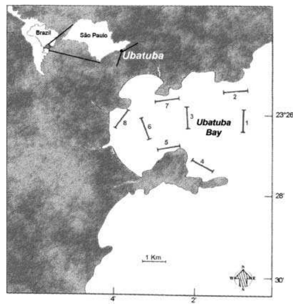 Map indicating the localization of ubatuba bay, ubatuba (sao